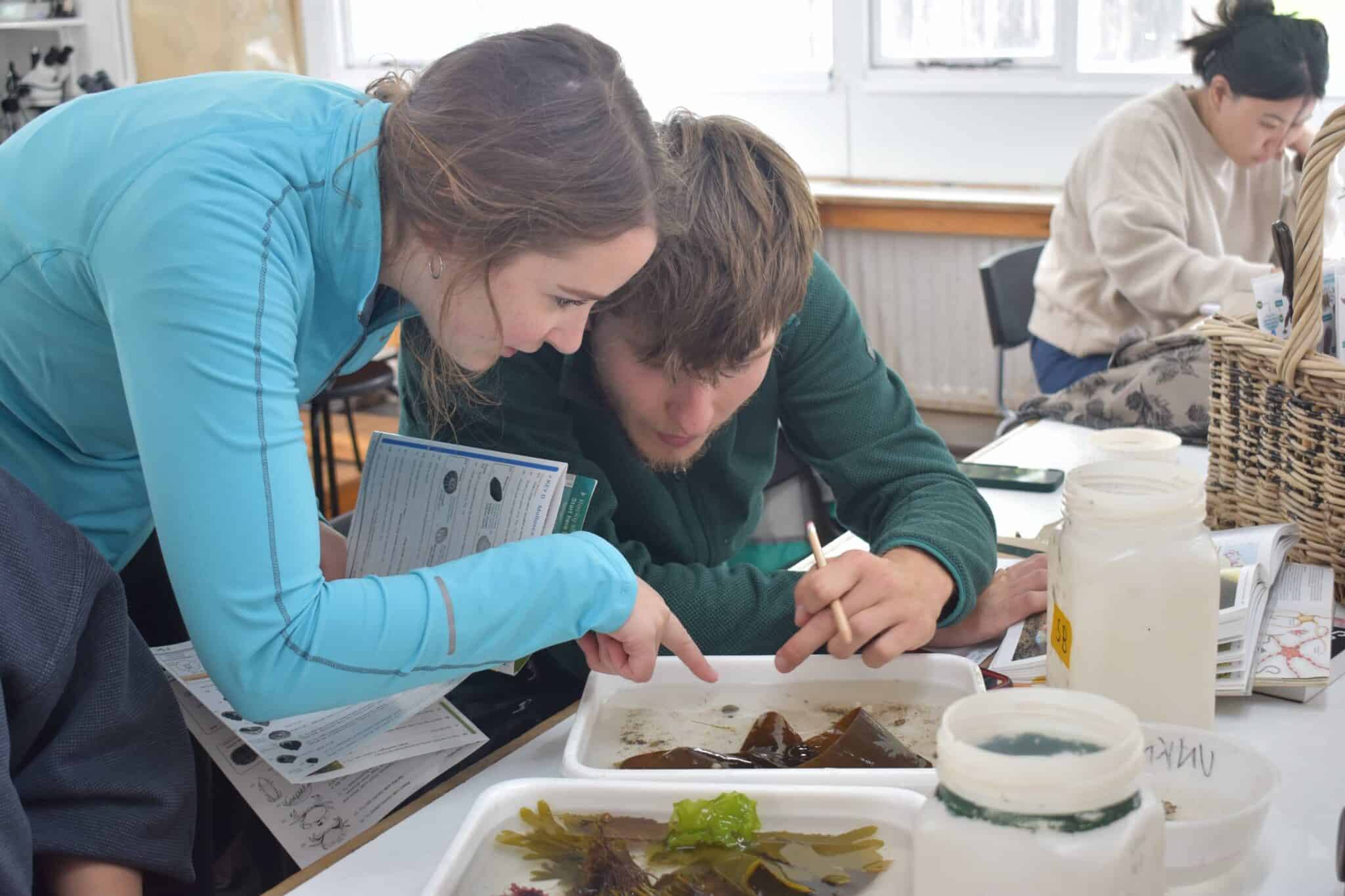 Upskill with SSERC – Practical Ecology and Environmental Sampling ...