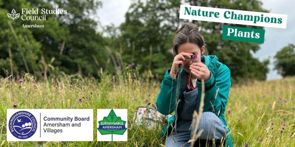 Nature Champions: Plants - Amersham - 14/09/2024 – Field Studies Council