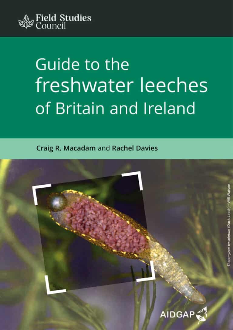 Freshwater leeches | AIDGAP | Field Studies Council