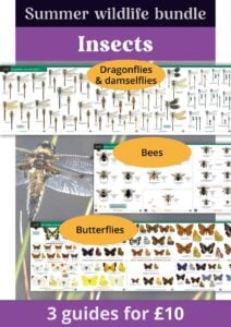 Publications Archives – Field Studies Council