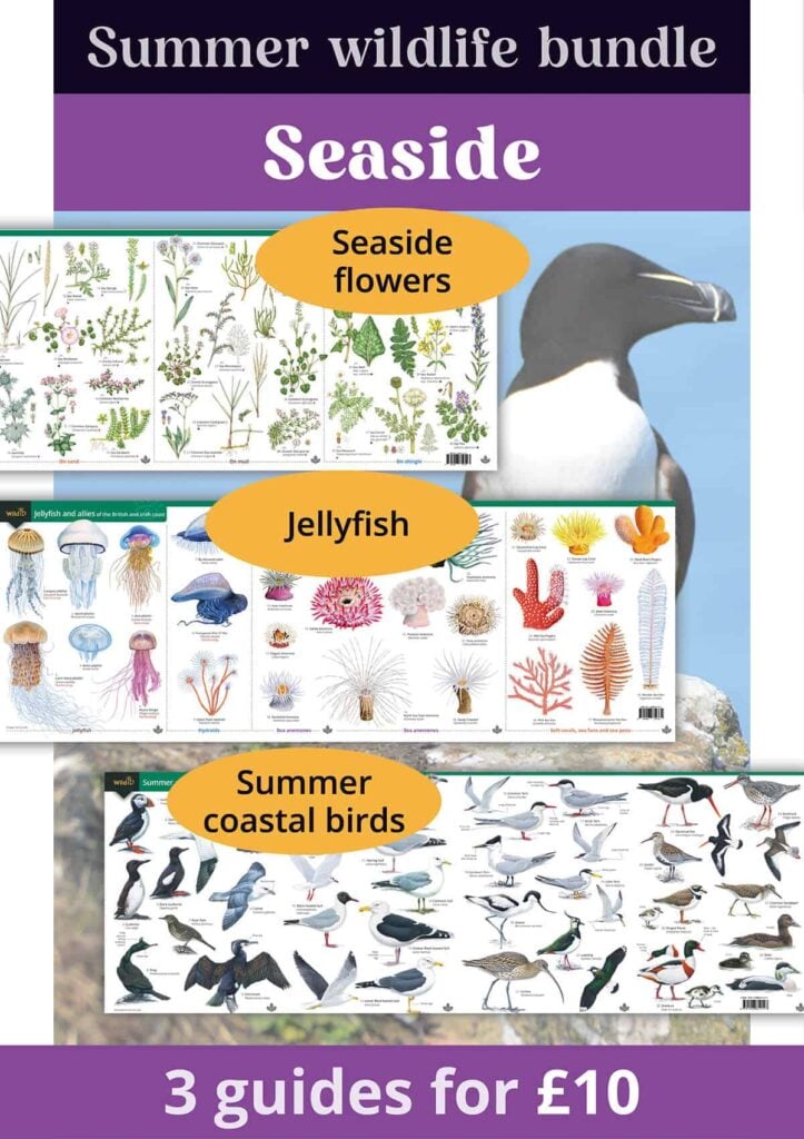 Publications Archives – Field Studies Council