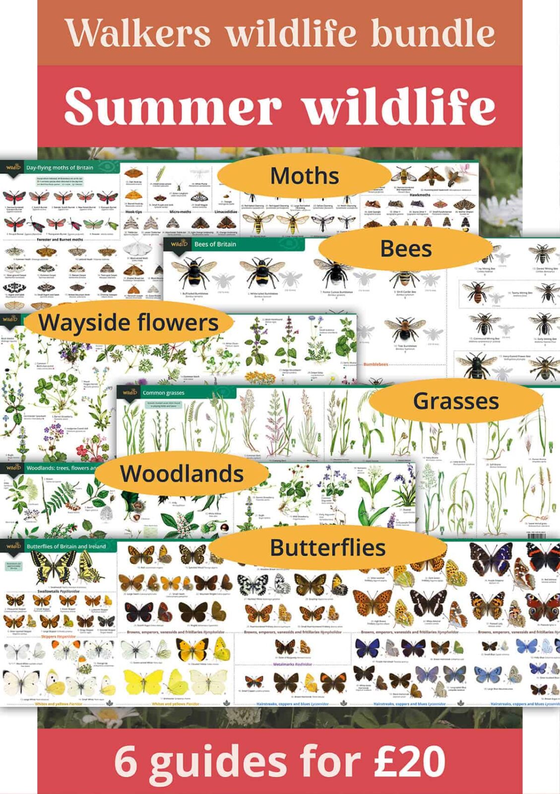 Publications Archives – Field Studies Council