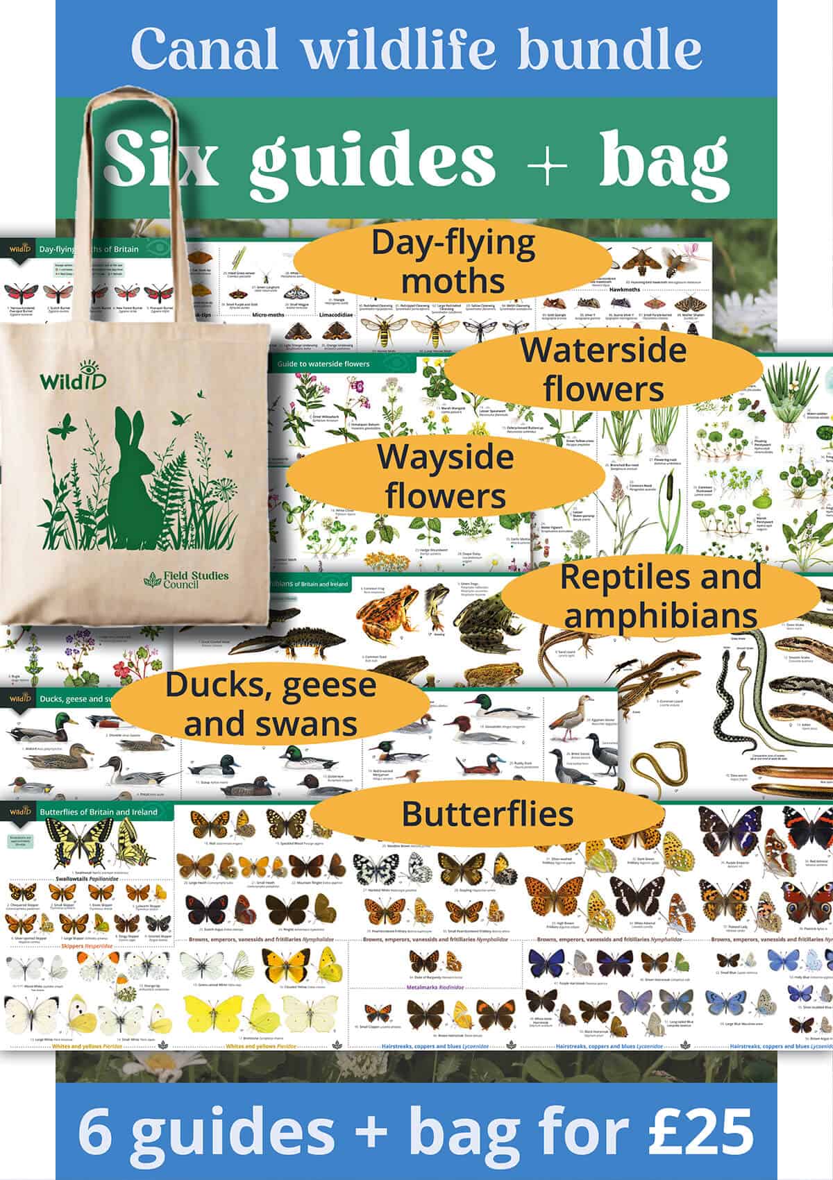 Publications Archives – Field Studies Council