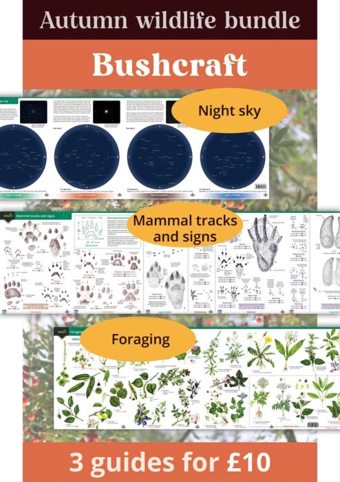 Publications Archives – Field Studies Council