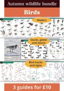 Publications Archives – Field Studies Council