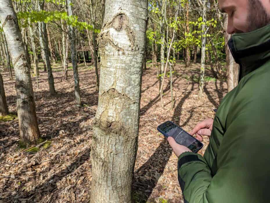 New Woodland Condition Assessment (WCA) App - National Biodiversity Network