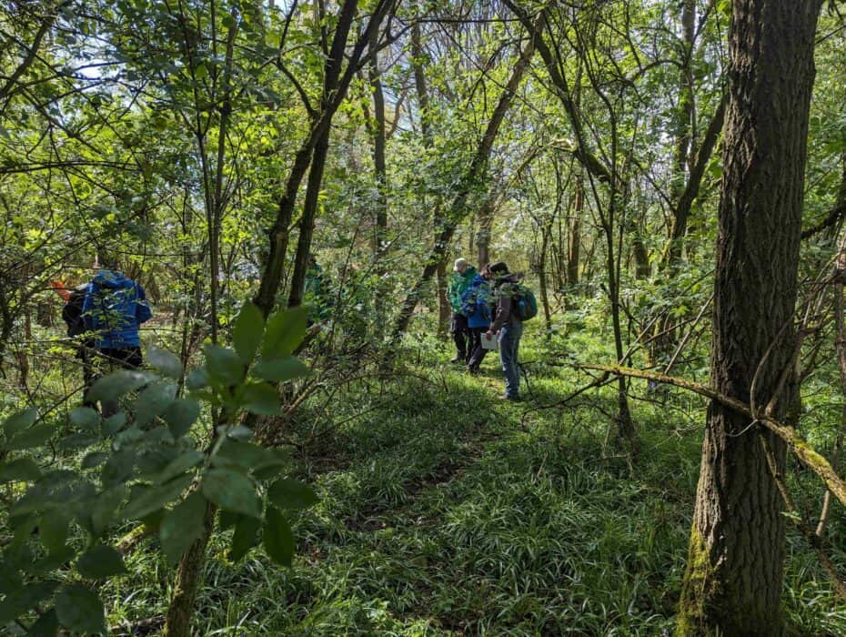 Woodland Condition Assessments – Field Studies Council