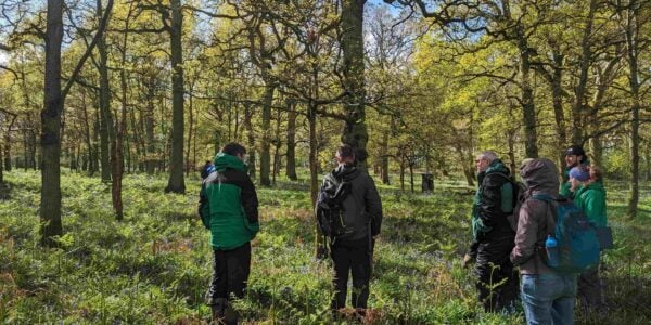 Woodland Condition Assessments – Field Studies Council