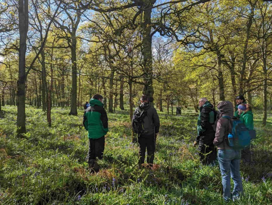 New high-tech app to streamline woodland surveys for landowners – Field ...