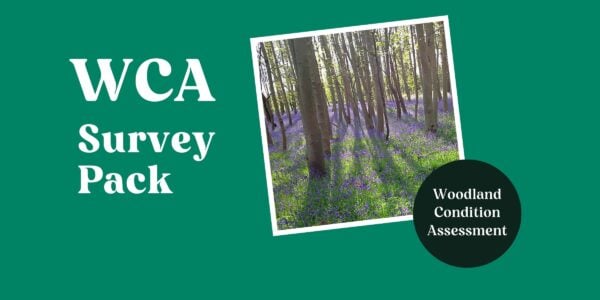 Woodland Condition Assessments – Field Studies Council