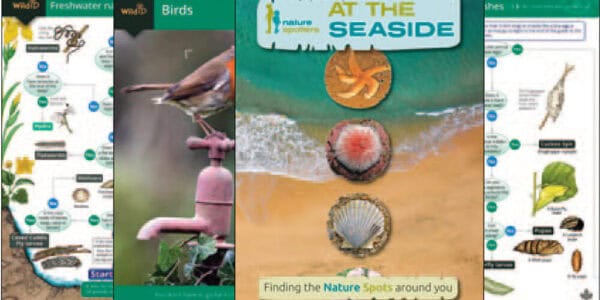 Wildlife guides and gifts – Field Studies Council