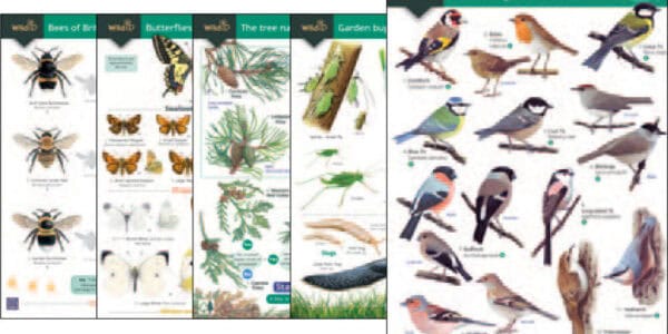 Wildlife guides and gifts – Field Studies Council
