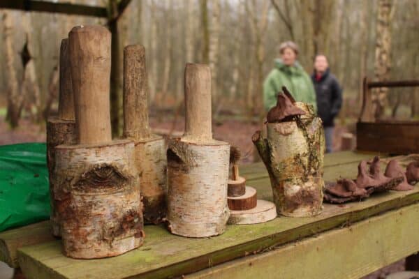 Level 2 Award in Forest School Assistants – Field Studies Council