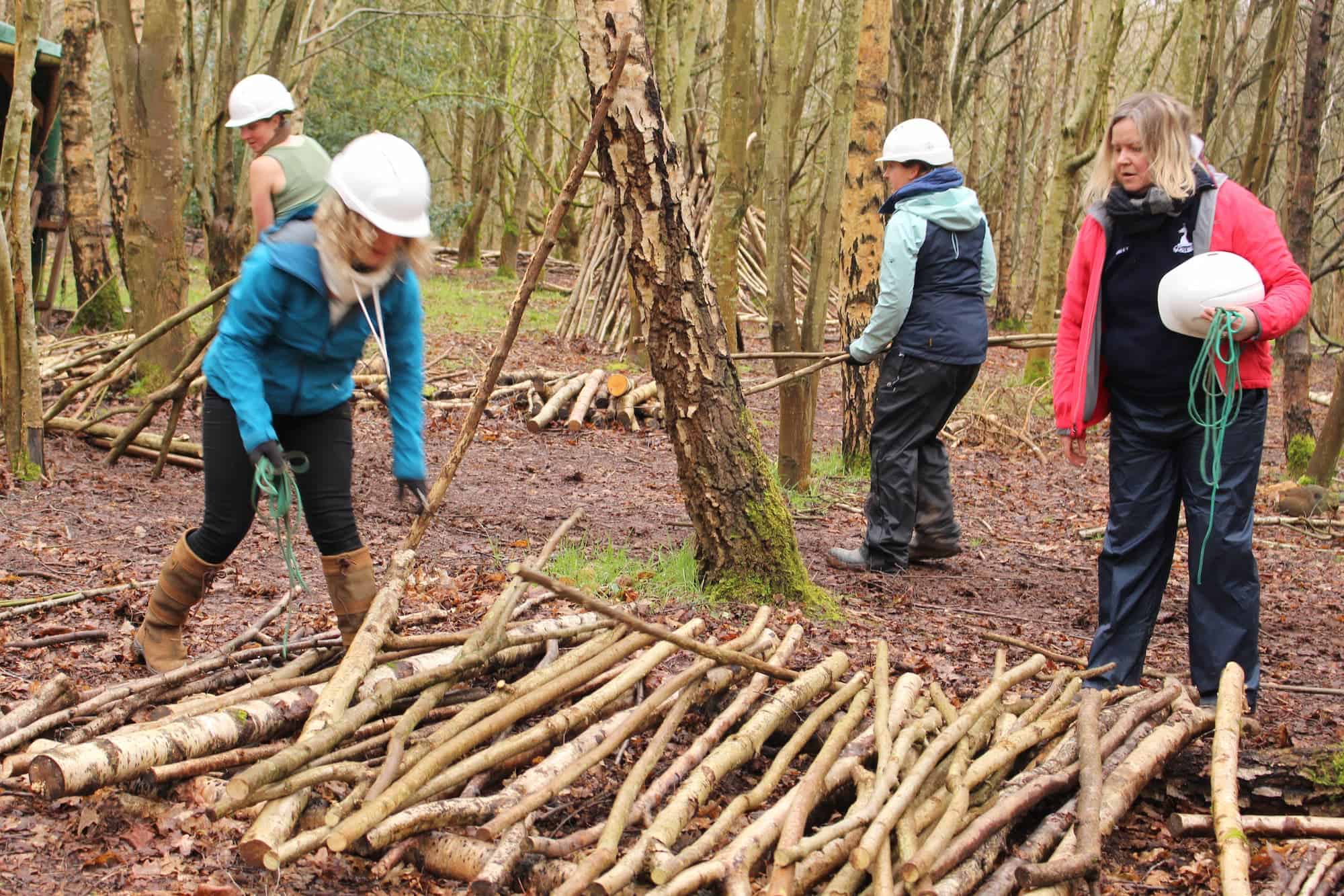 Level 1 Forest School Ethos and Principles – Field Studies Council