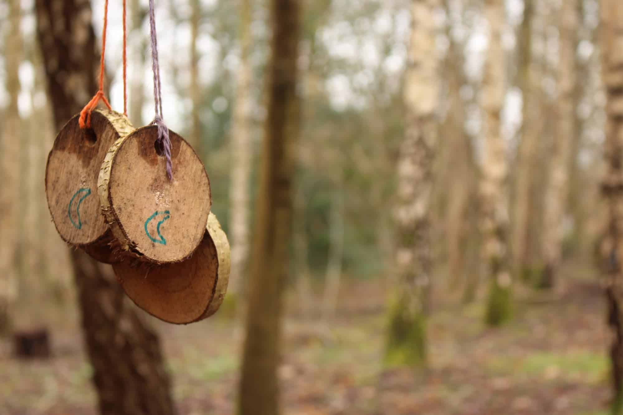 Level 1 Forest School Ethos and Principles – Field Studies Council