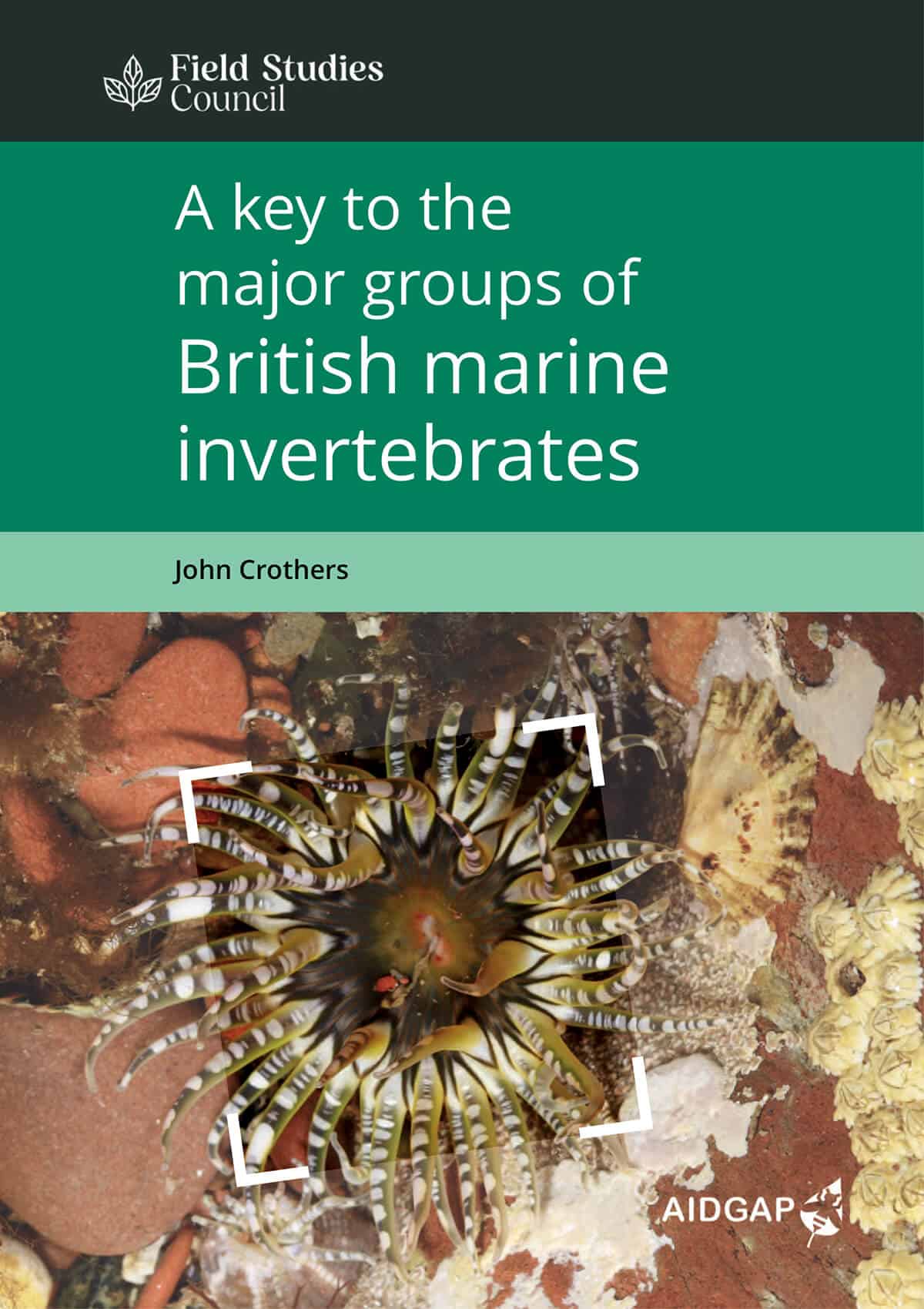 Marine invertebrates AIDGAP – Field Studies Council