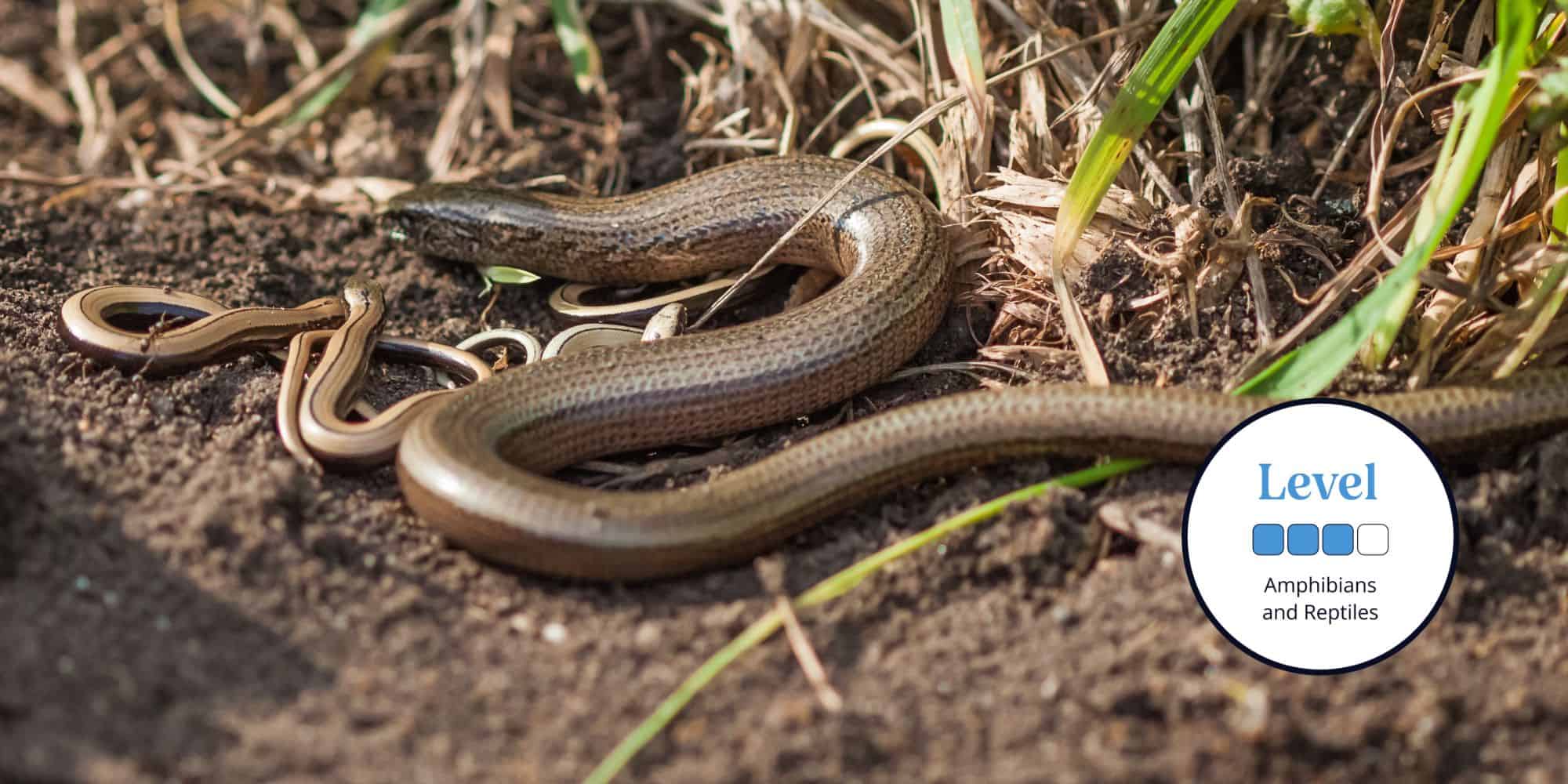 All Courses – Field Studies Council