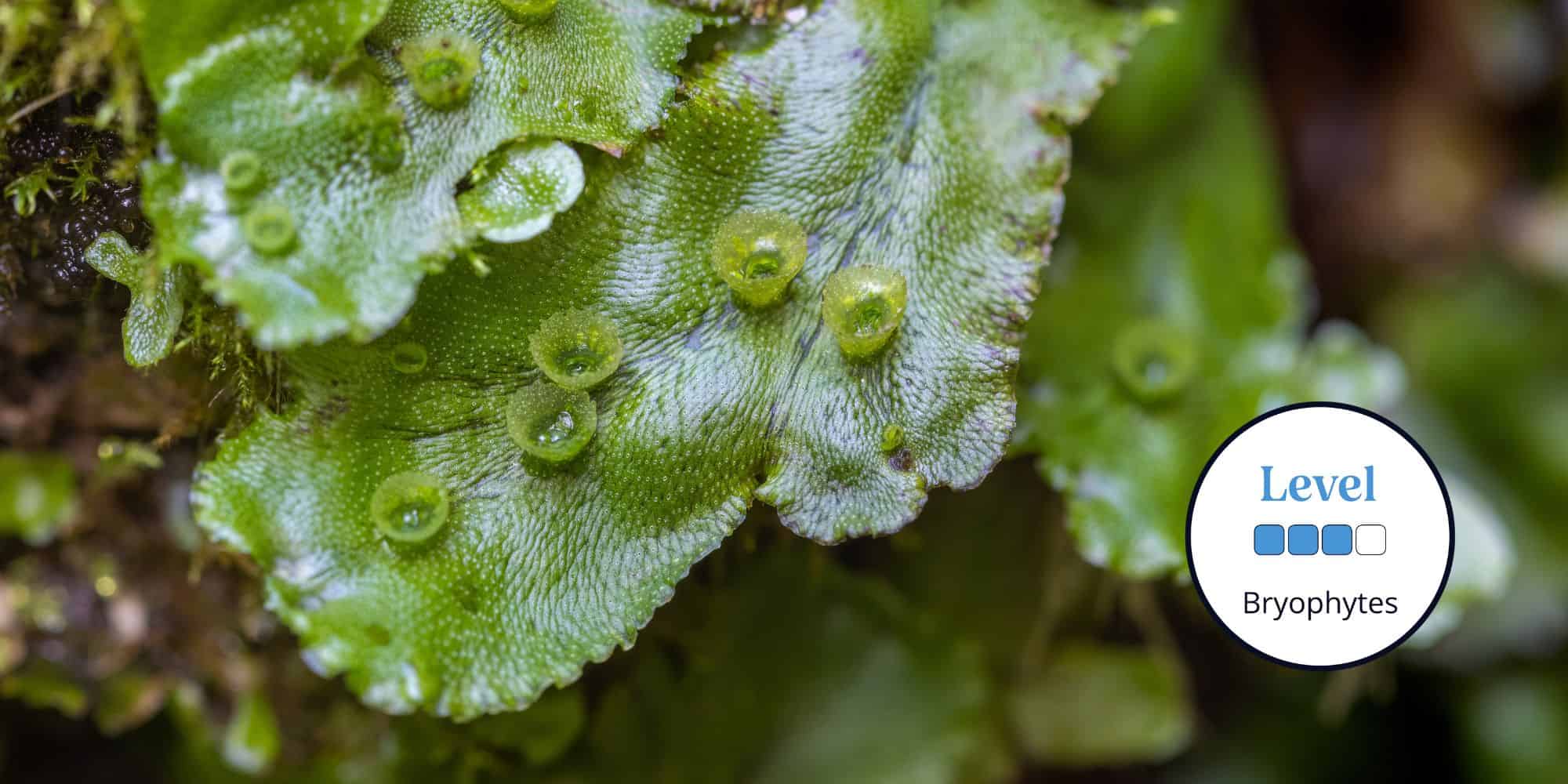 All Courses – Field Studies Council