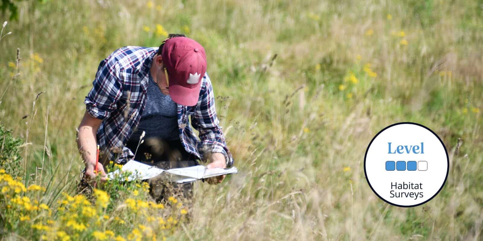 Habitat Surveying: Using UKHab – Field Studies Council