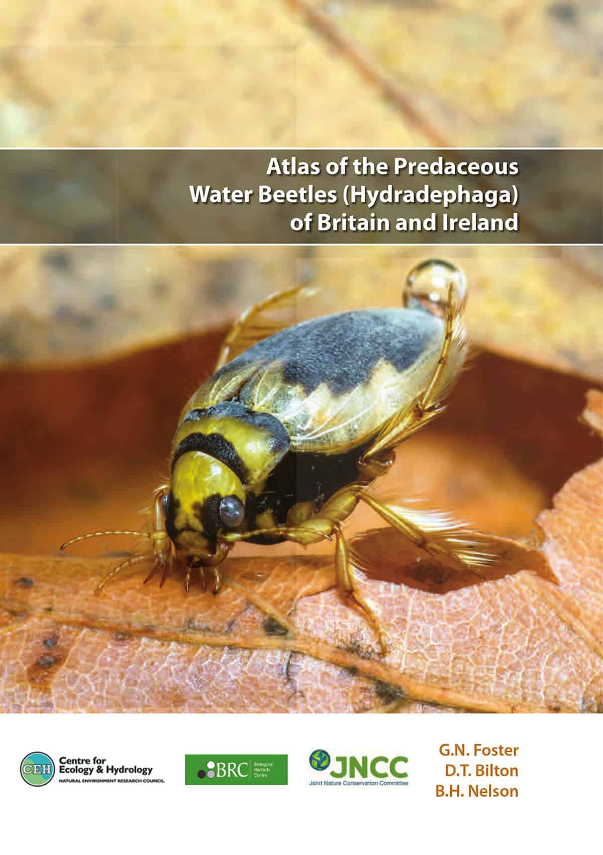 Predaceous water beetles atlas – Field Studies Council