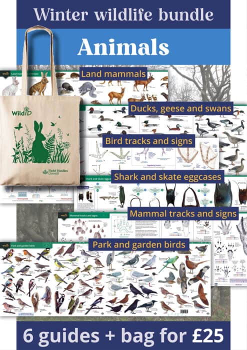 Publications Archives – Field Studies Council