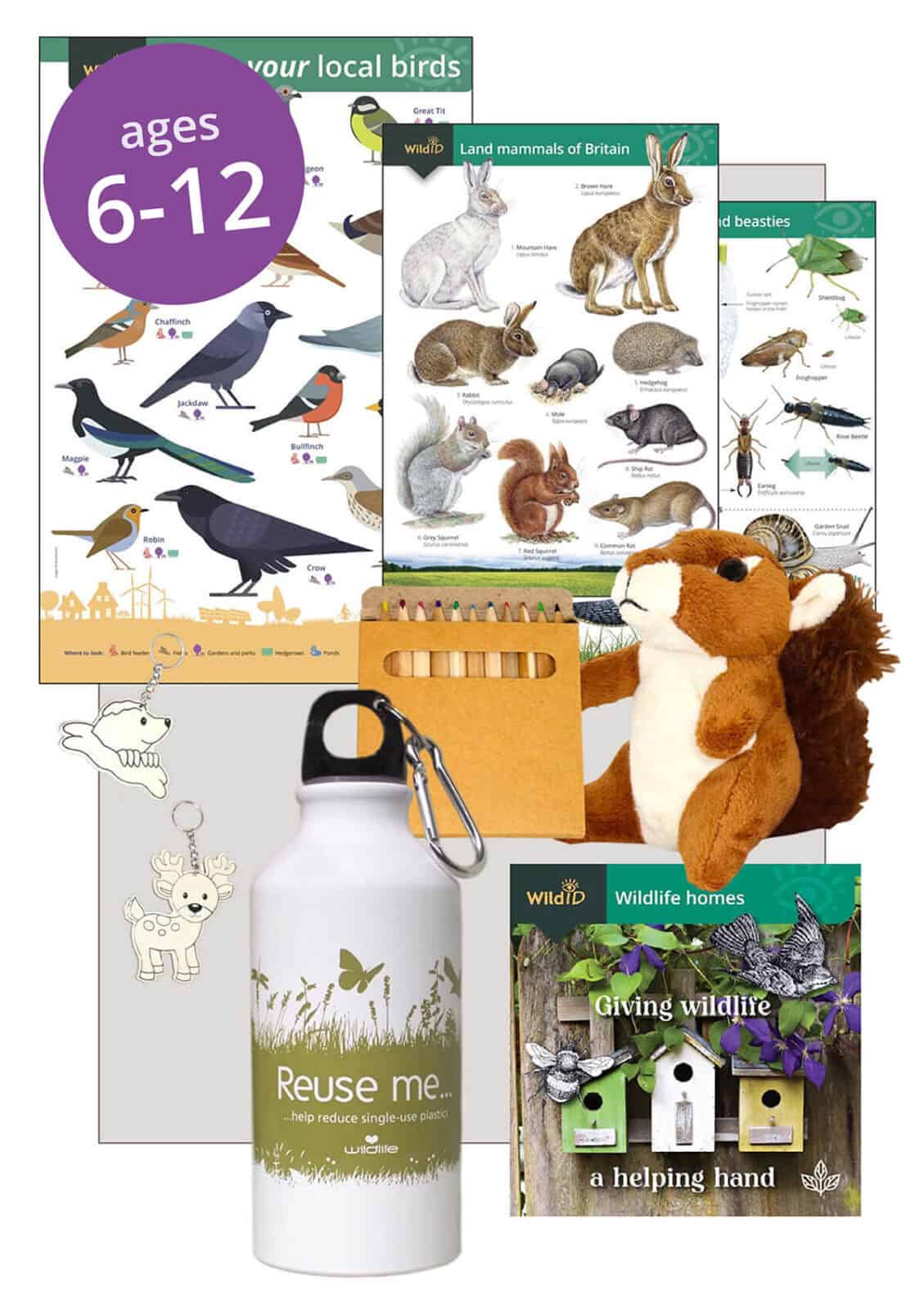 Wee watchers wildlife pack – Field Studies Council