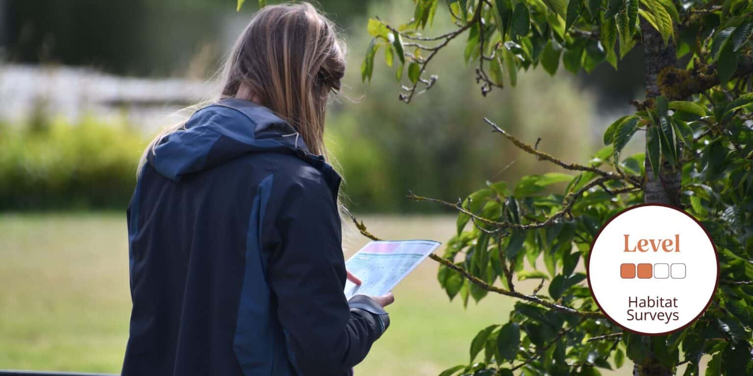 Habitat Survey Courses | NVC and HABUK | Field Studies Council