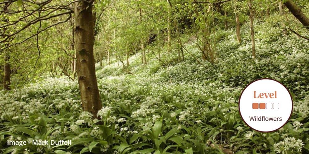 All Courses – Field Studies Council