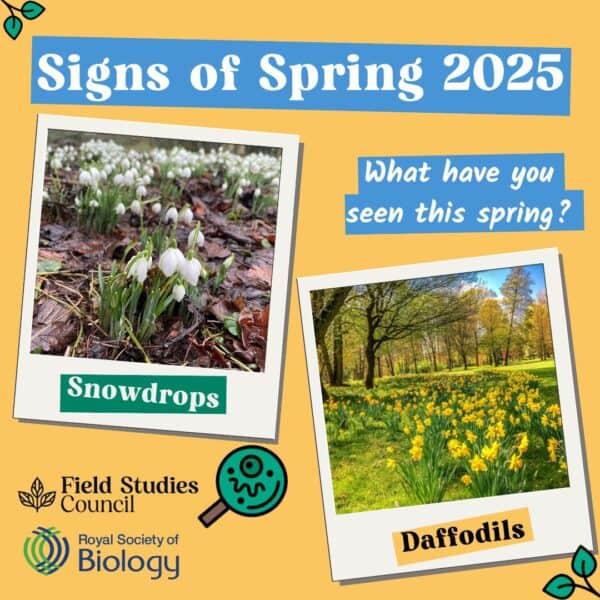 Spot the first signs of Spring for key research project – Field Studies ...