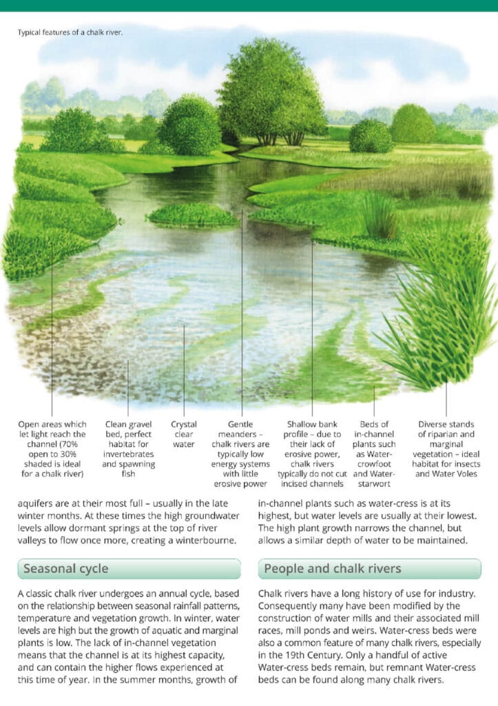 Chalk rivers guide – Field Studies Council