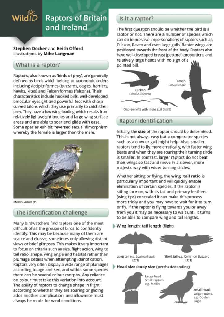 Raptors | Fold-out identification guide | Field Studies Council