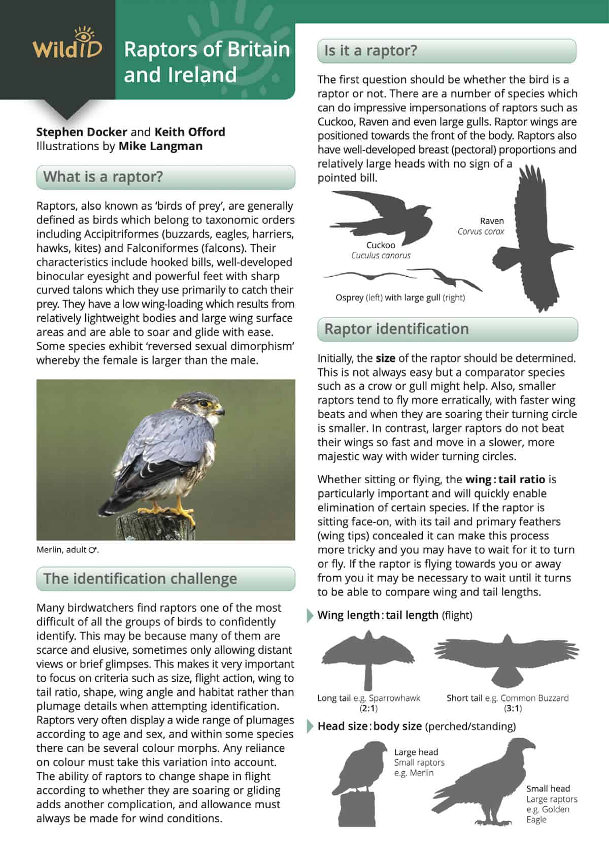 Raptors | Fold-out identification guide | Field Studies Council
