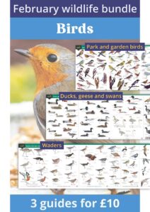 Publications Archives – Field Studies Council