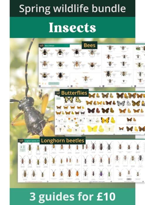 Publications Archives – Field Studies Council