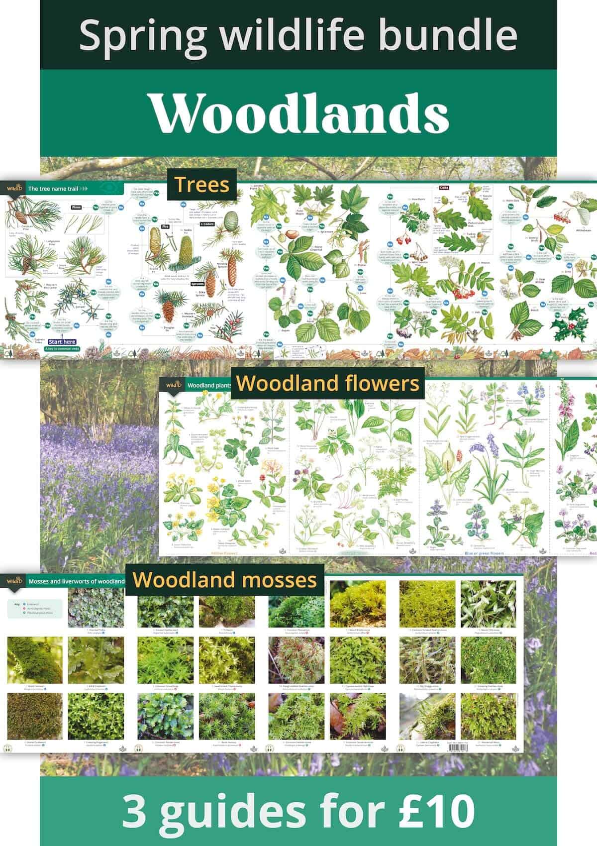 Publications Archives – Field Studies Council