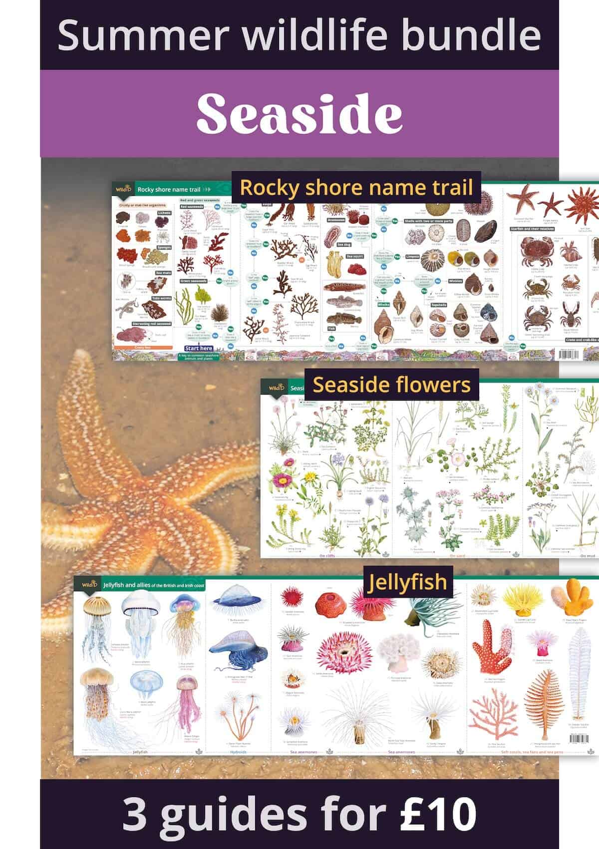 Publications Archives – Field Studies Council