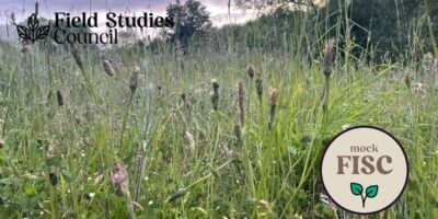 Mock Field Identification Skills Certificate (FISC) – Field Studies Council