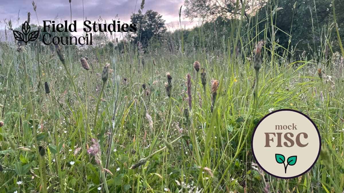 Mock Field Identification Skills Certificate 06/06/2025 – Field Studies ...