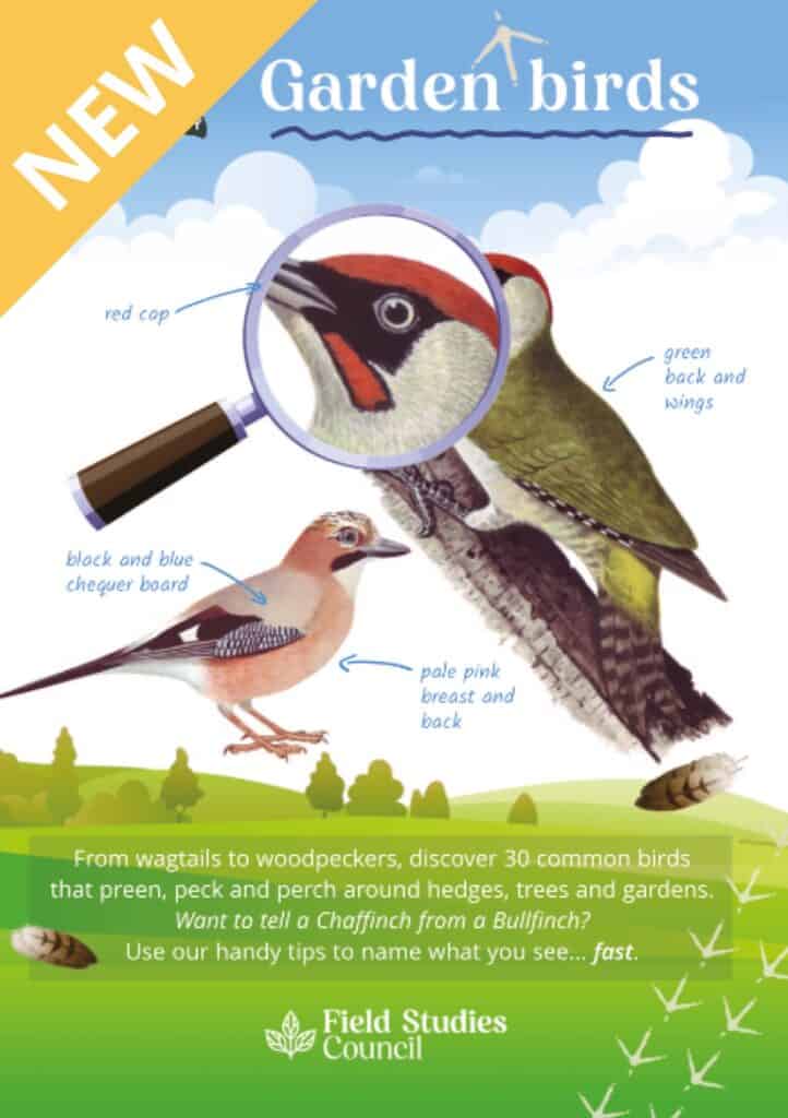 Publications Archives – Field Studies Council