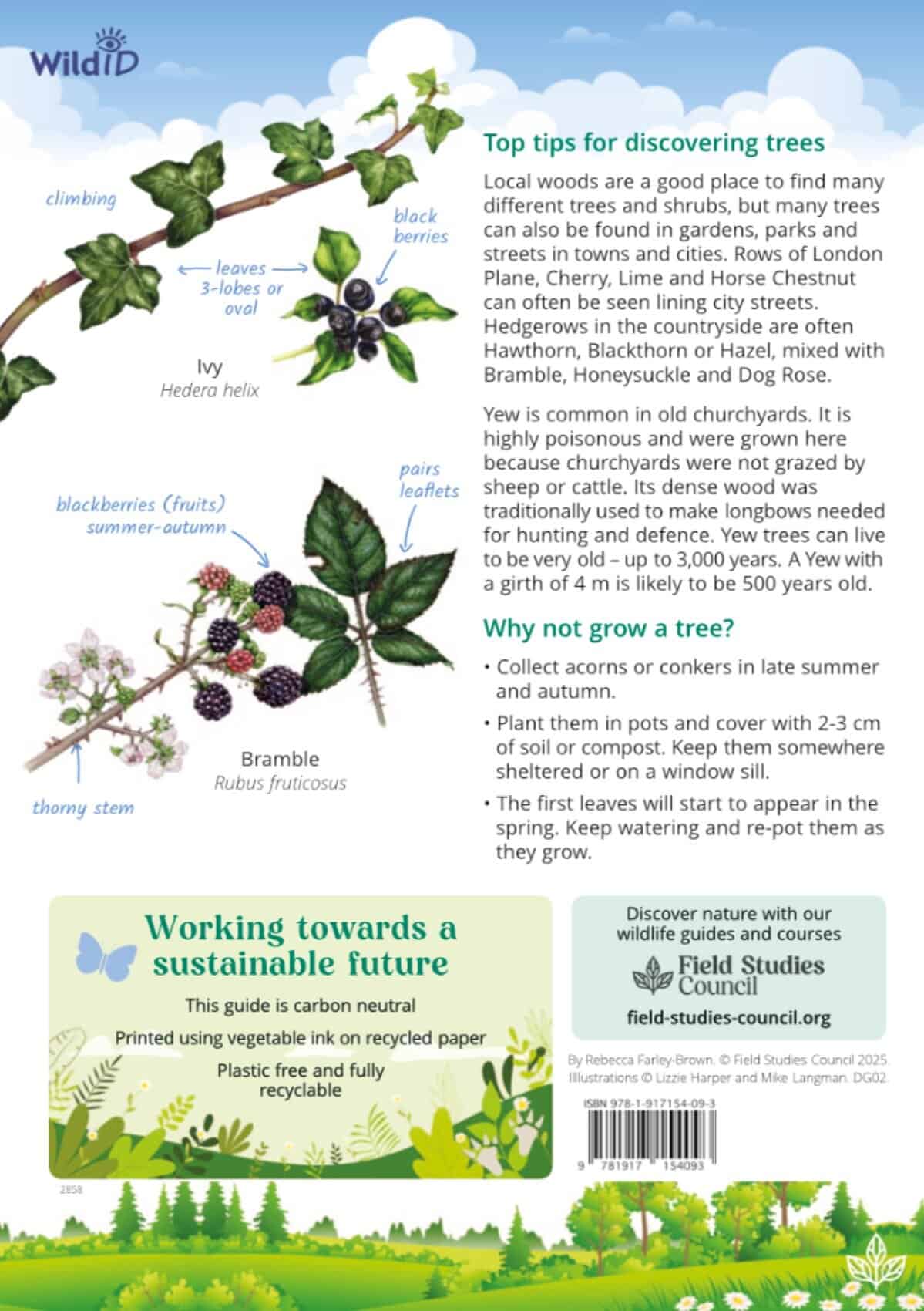 Trees and shrubs | Discovery guide | Field Studies Council
