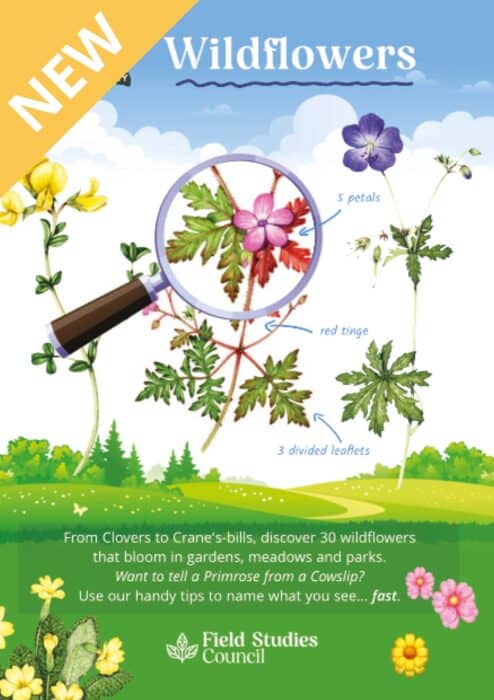 Publications Archives – Field Studies Council