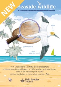 Publications Archives – Field Studies Council