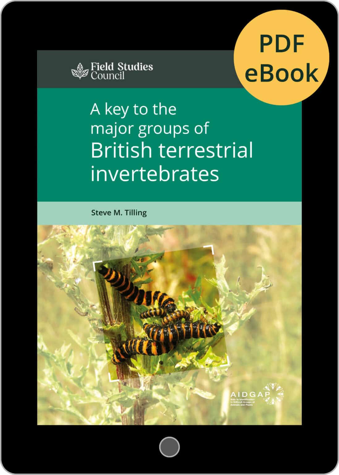 Terretrial invertebrates AIDGAP | Identification Key | Field Studies ...