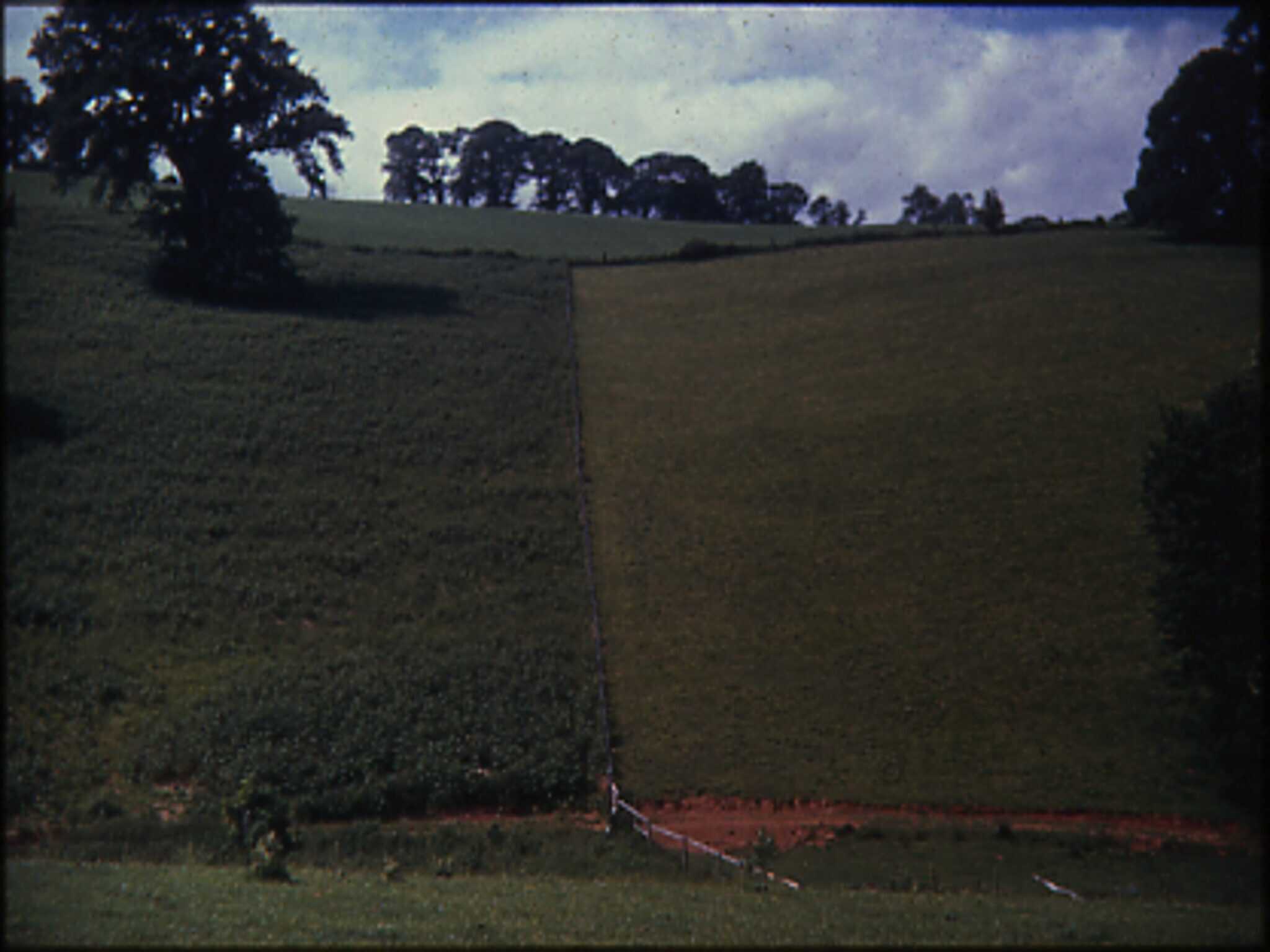 Rewilding research project at Nettlecombe Court – Field Studies Council