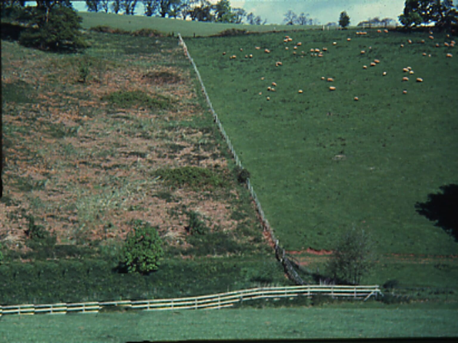 Rewilding research project at Nettlecombe Court – Field Studies Council