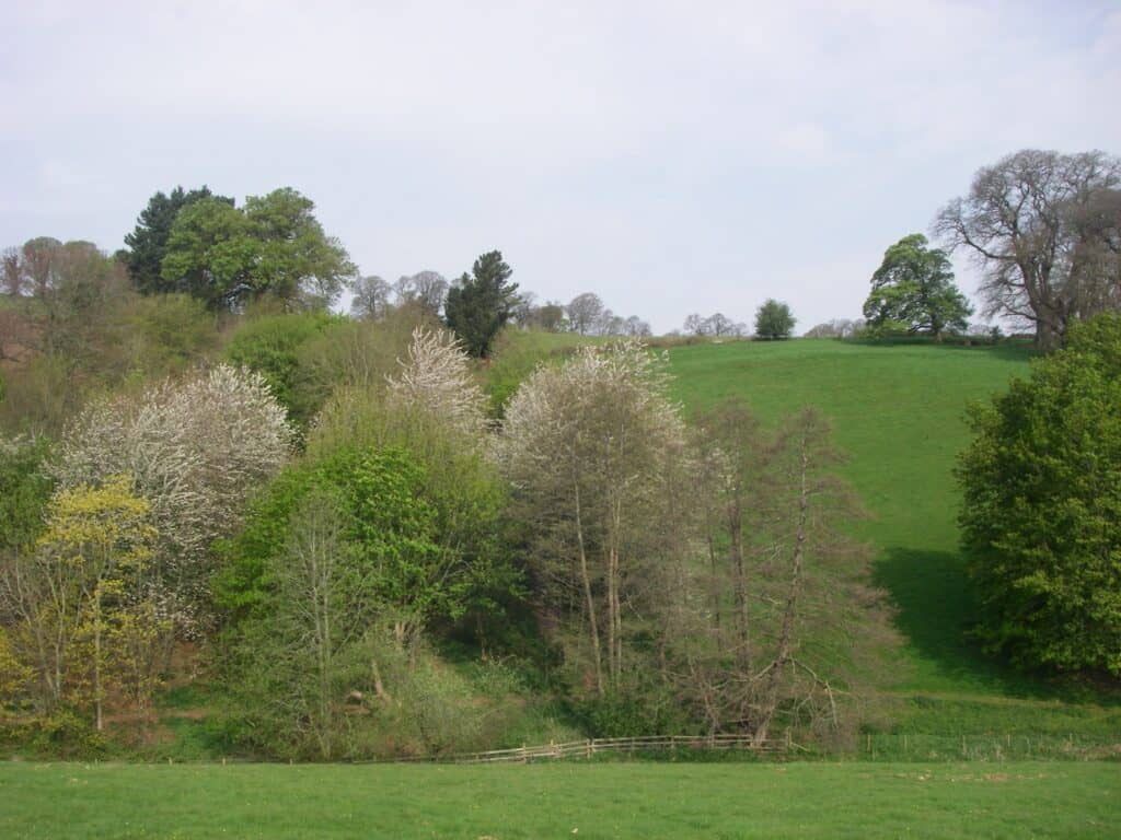 Rewilding research project at Nettlecombe Court – Field Studies Council