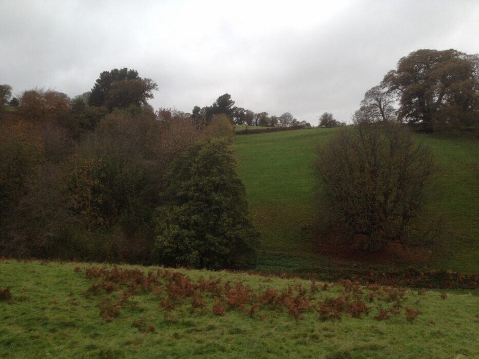 Rewilding research project at Nettlecombe Court – Field Studies Council