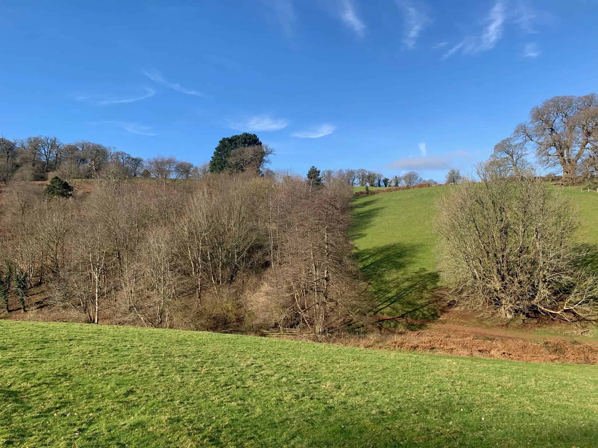 Rewilding research project at Nettlecombe Court – Field Studies Council