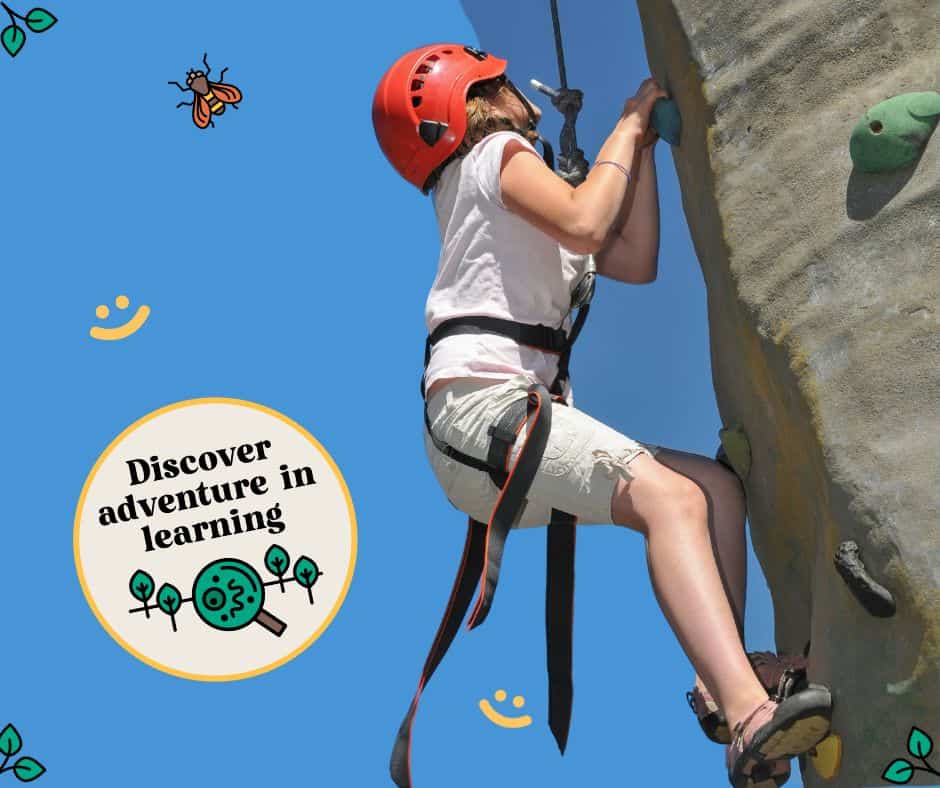 Find your perfect adventure in nature – Field Studies Council