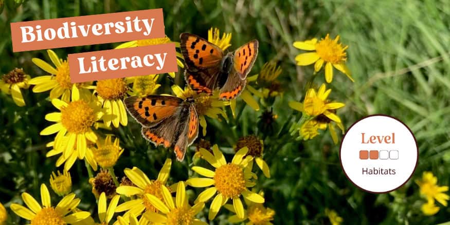 Biodiversity Training – Field Studies Council